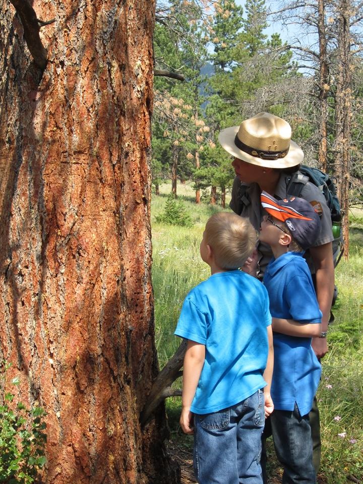 Junior Ranger - Rocky Mountain National Park (U.S. National Park Service)