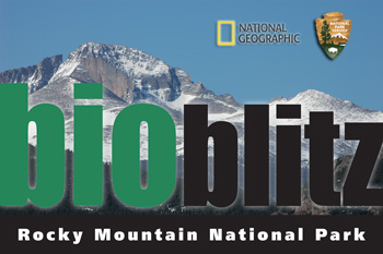 2012 BioBlitz in Rocky - Rocky Mountain National Park (U.S. National ...
