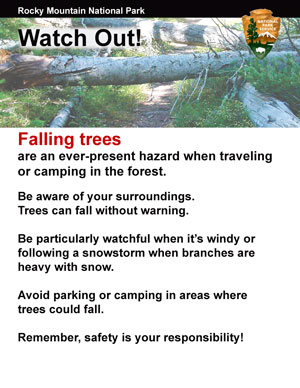 Forest Health - Rocky Mountain National Park (U.S. National Park Service)