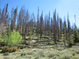 Climate Change - Rocky Mountain National Park (U.S. National Park Service)