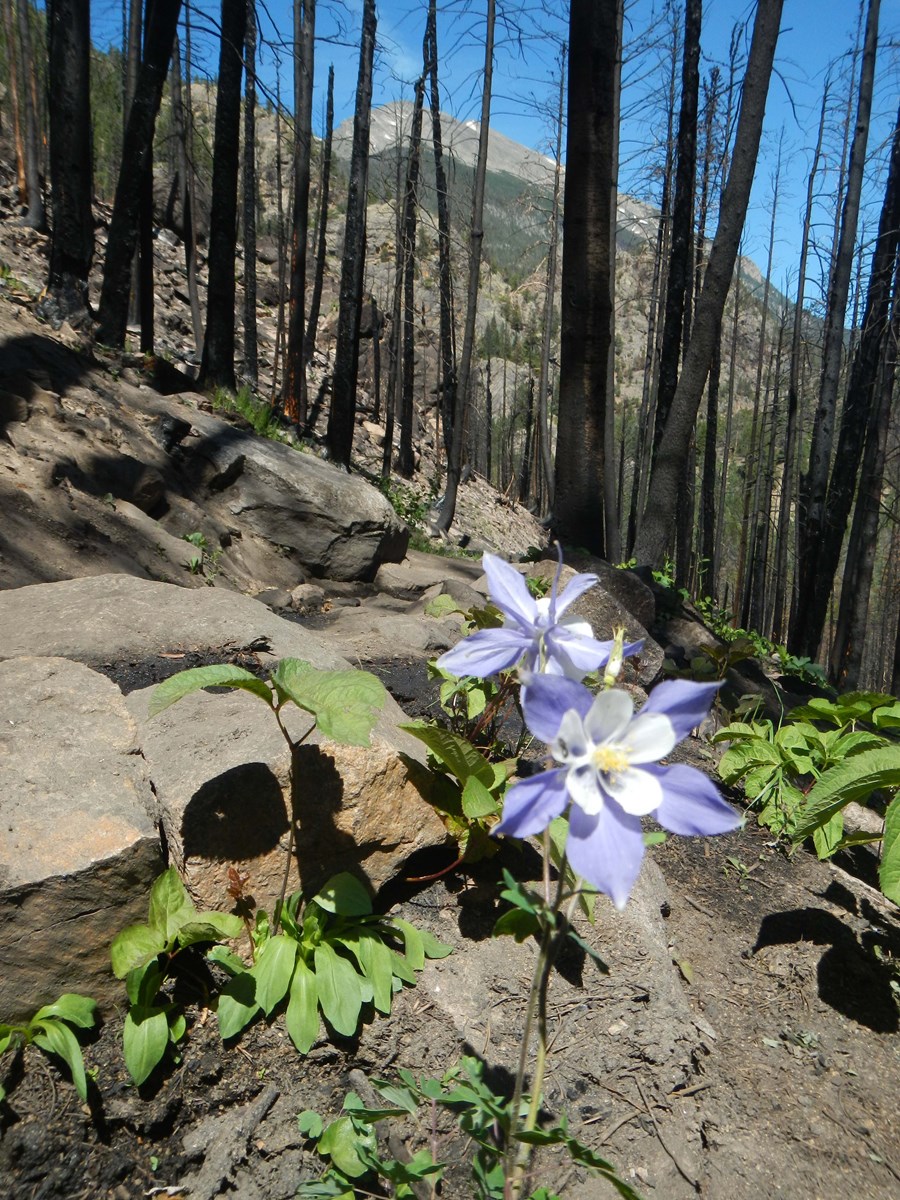 Rocky Mountain National Park Announces Centennial Photo Winners - Rocky ...