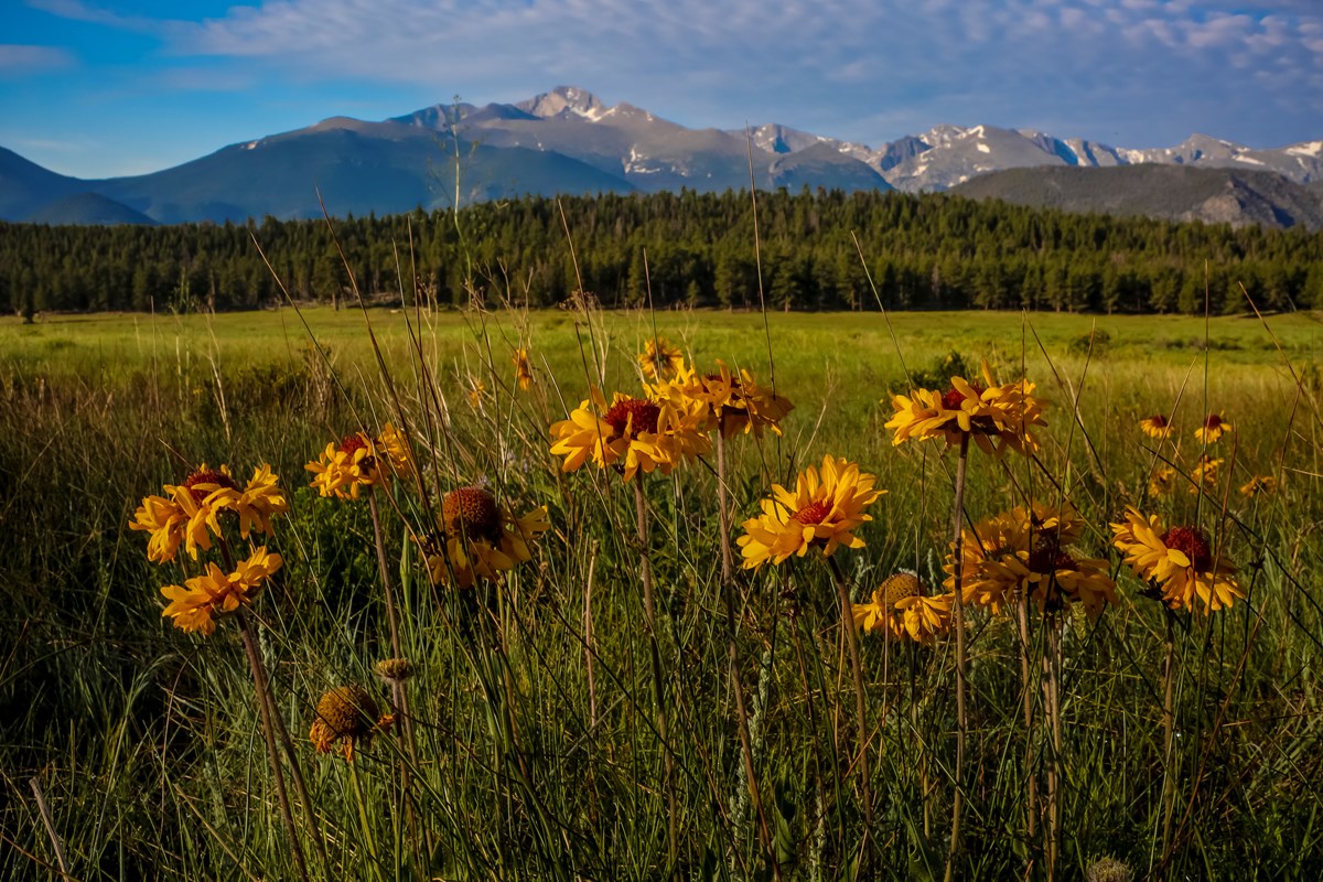 Trail Conditions - Rocky Mountain National Park (U.S. National Park ...