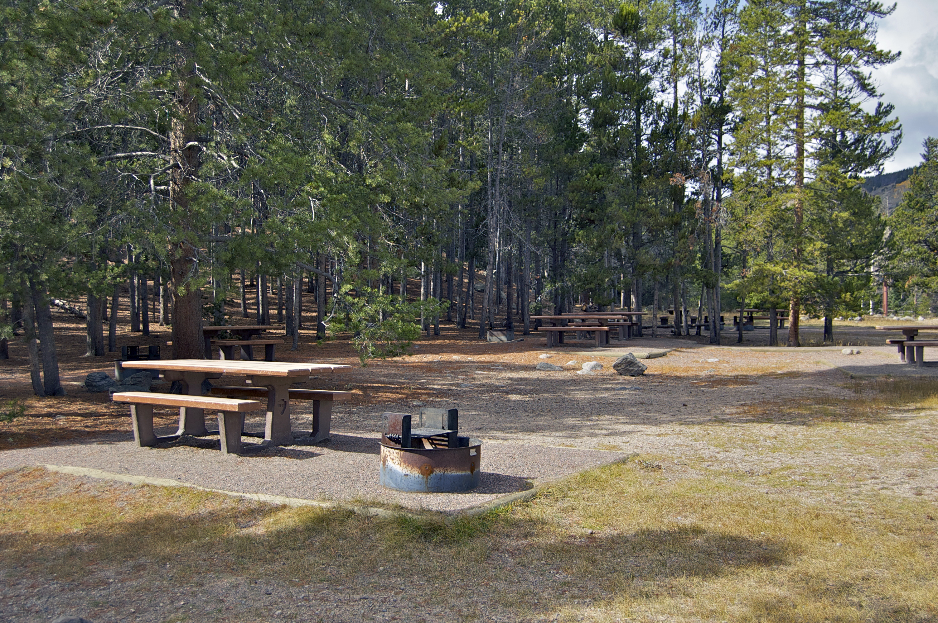 Community Park Picnic Areas