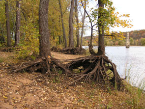 Pillar Island Restoration - Saint Croix National Scenic Riverway (U.S ...