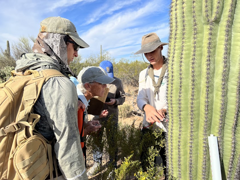 Saguaro Arms Citizen Science Project - Saguaro National Park (U.S ...