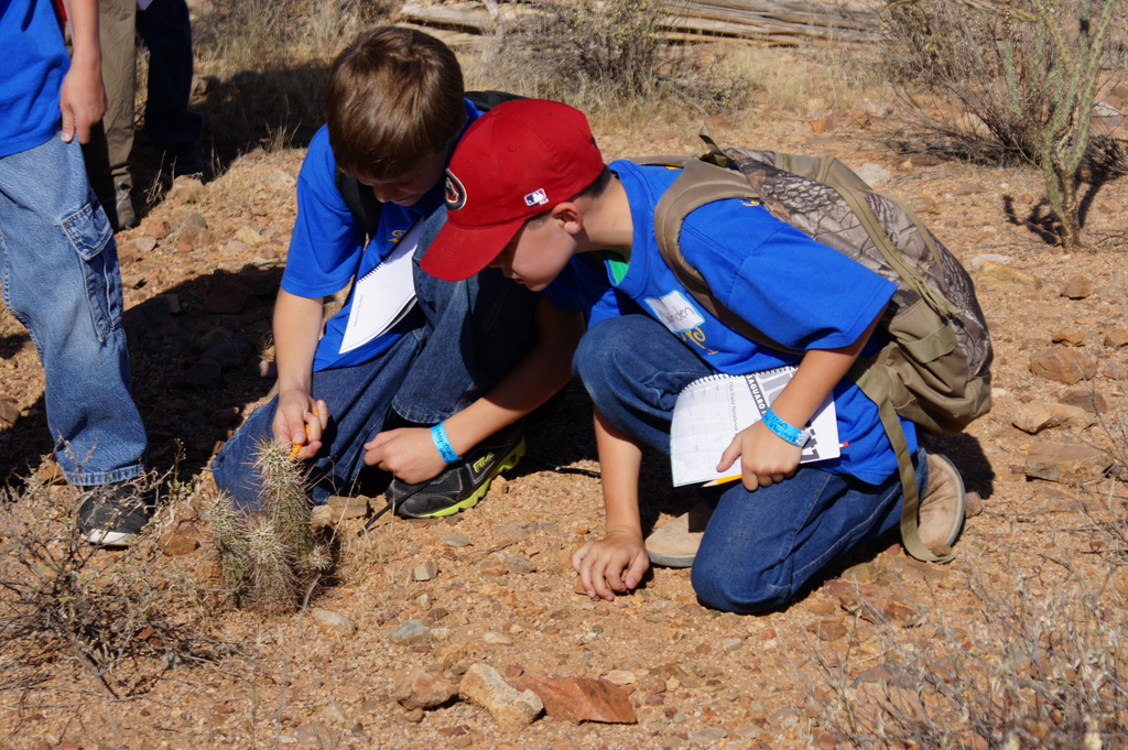 Field Trips - Saguaro National Park (U.S. National Park Service)