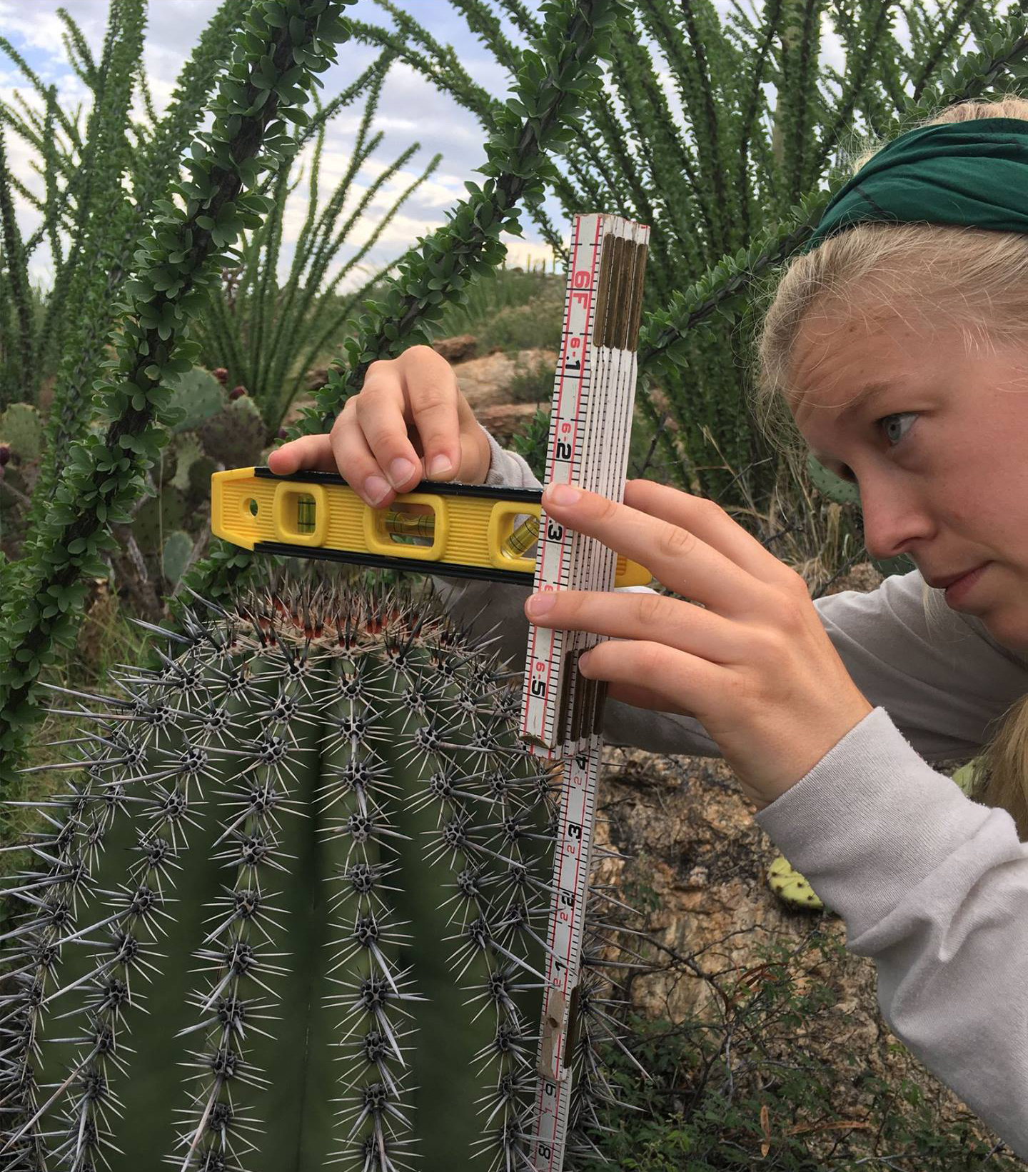 Science & Research - Saguaro National Park (U.S. National Park Service)