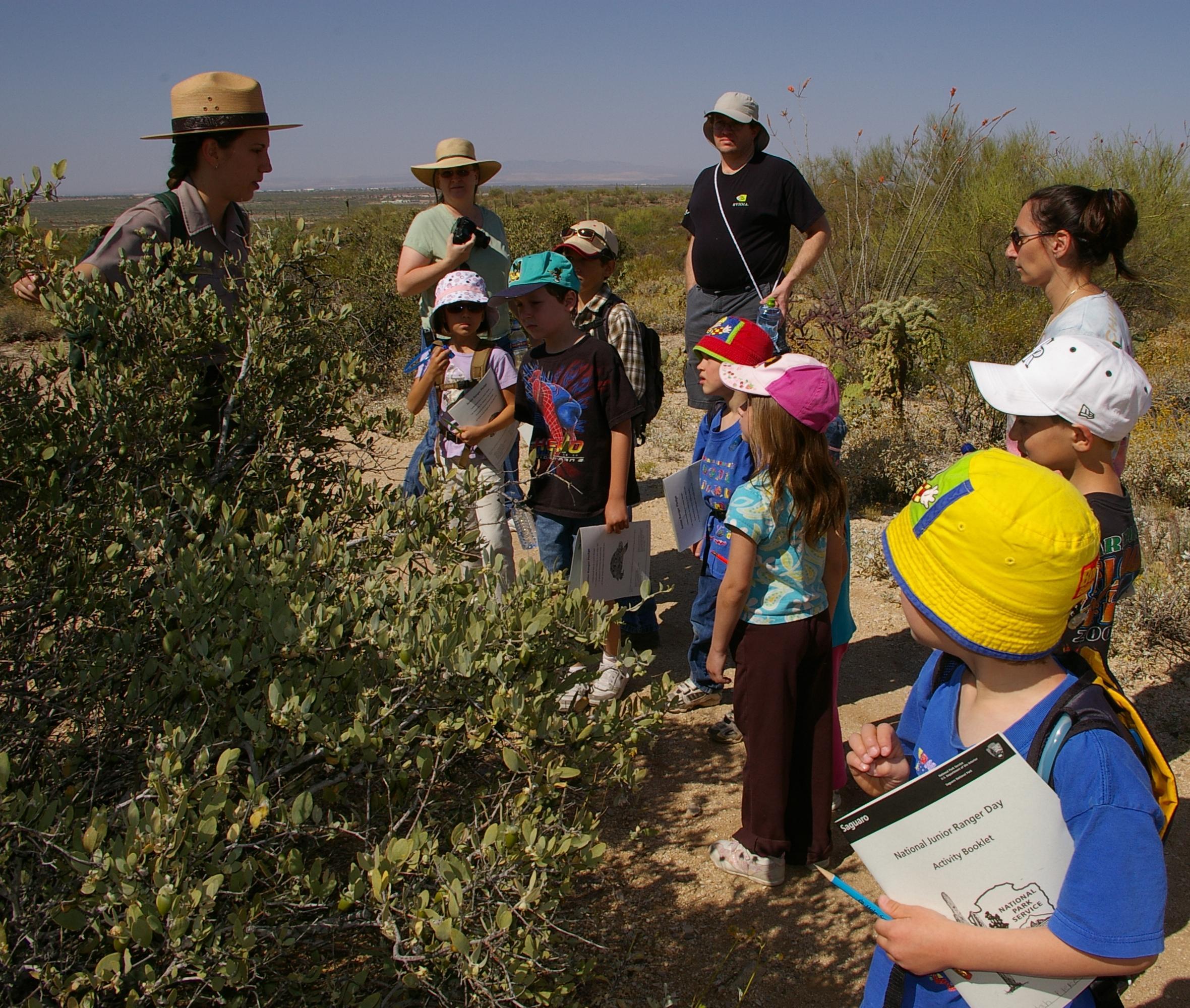 Kids & Youth - Saguaro National Park (U.S. National Park Service)