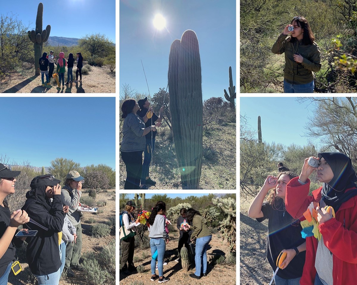 Arizona College Prep Academy Plot 41A - Saguaro National Park (U.S ...