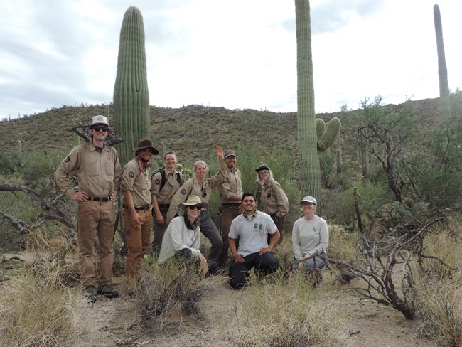 AZCC Saguaro Census 2020 - Saguaro National Park (U.S. National Park ...
