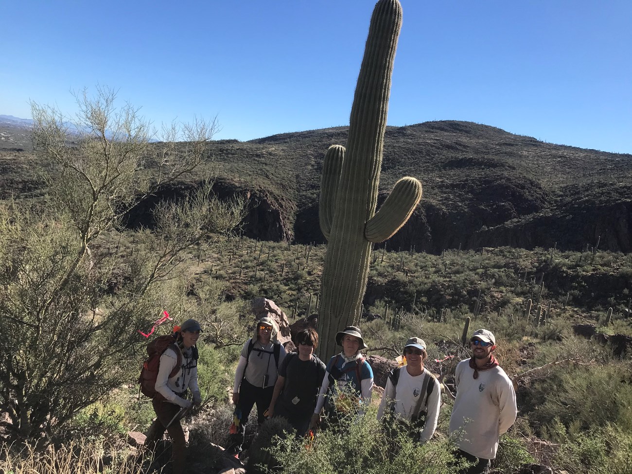 Adventure Science SC 2020 - Saguaro National Park (U.S. National Park ...