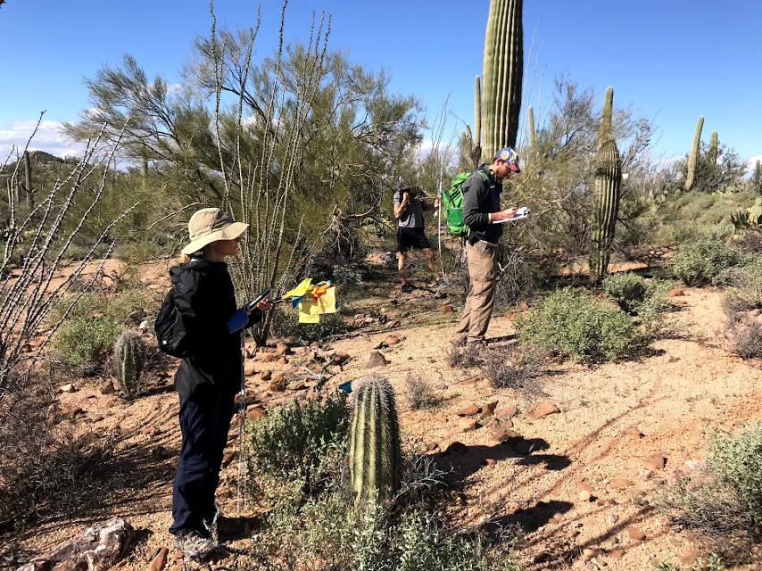 Adventure Scientists, Plot 38 - Saguaro National Park (U.S. National ...