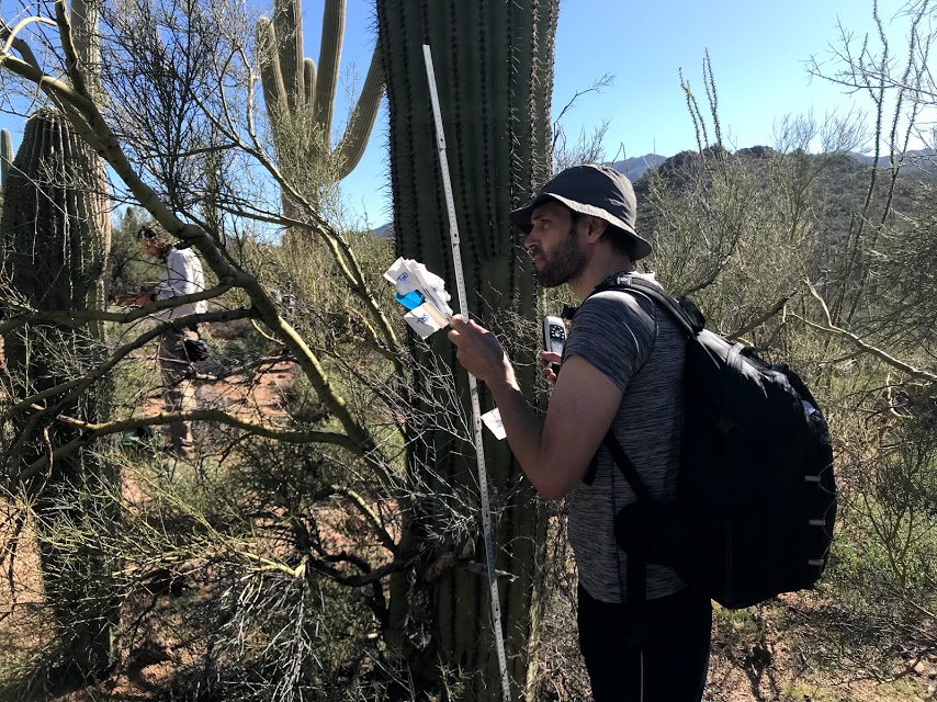 Adventure Scientists, Plot 38 - Saguaro National Park (U.S. National ...