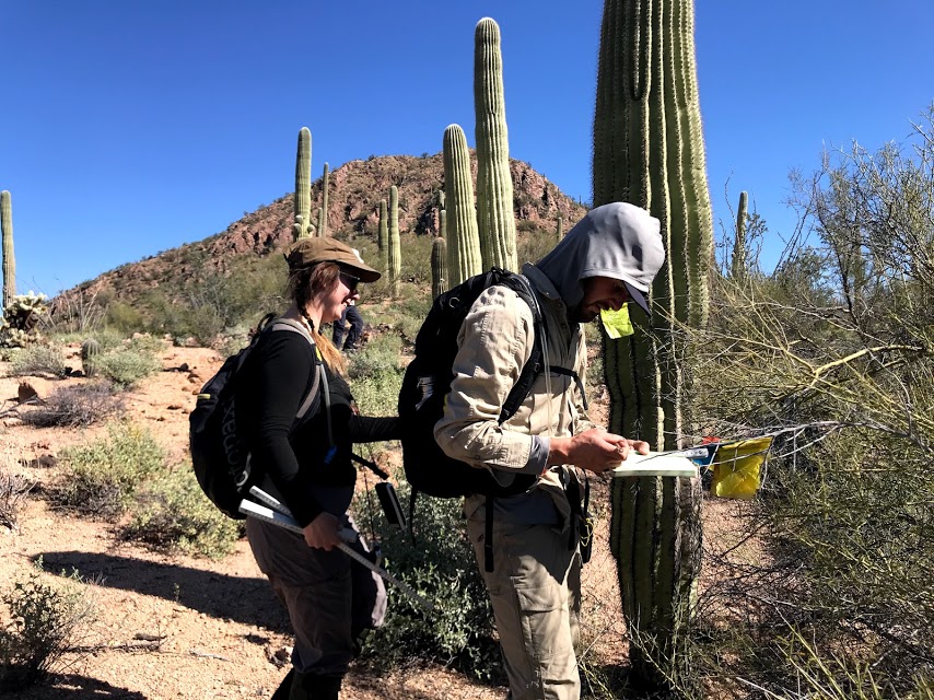 Adventure Scientists, Plot 38 - Saguaro National Park (U.S. National ...