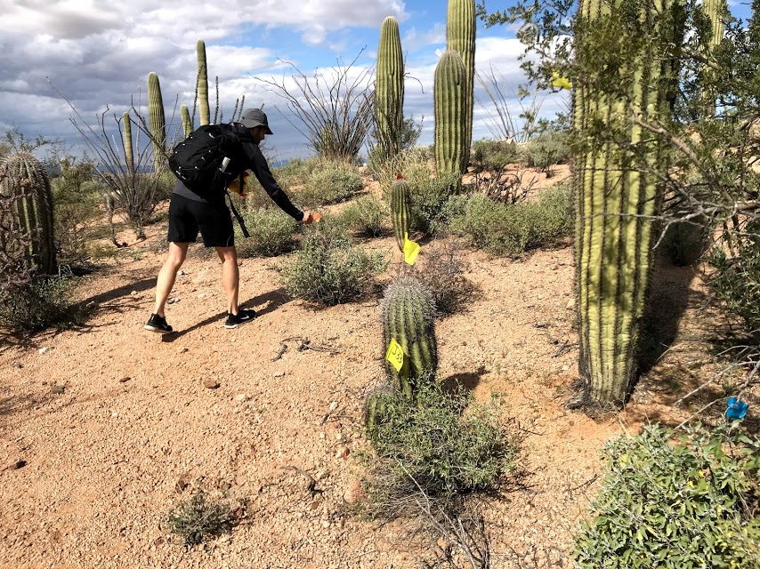 Adventure Scientists, Plot 38 - Saguaro National Park (U.S. National ...