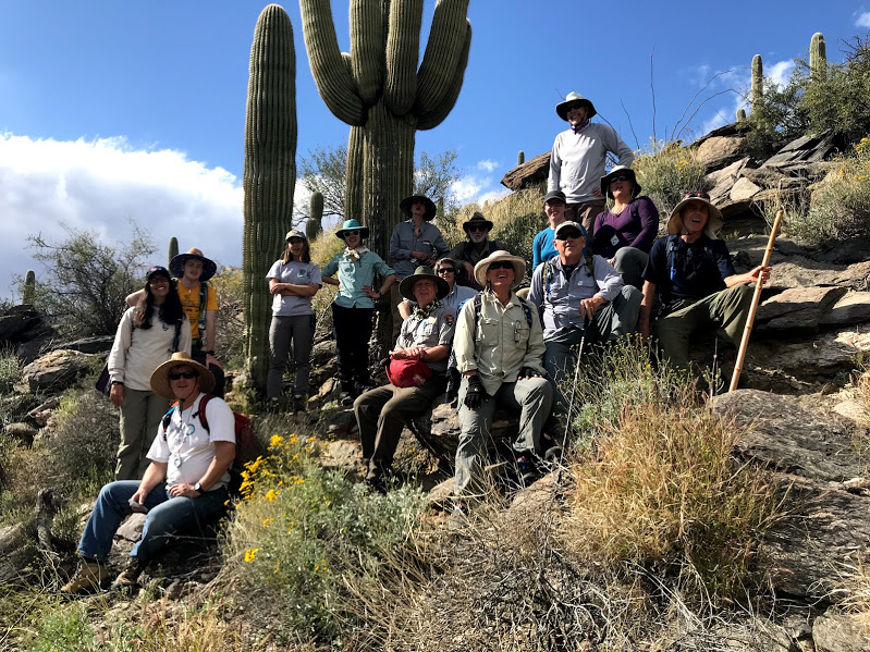 Adventure Scientists, Plot 22 - Saguaro National Park (U.S. National ...