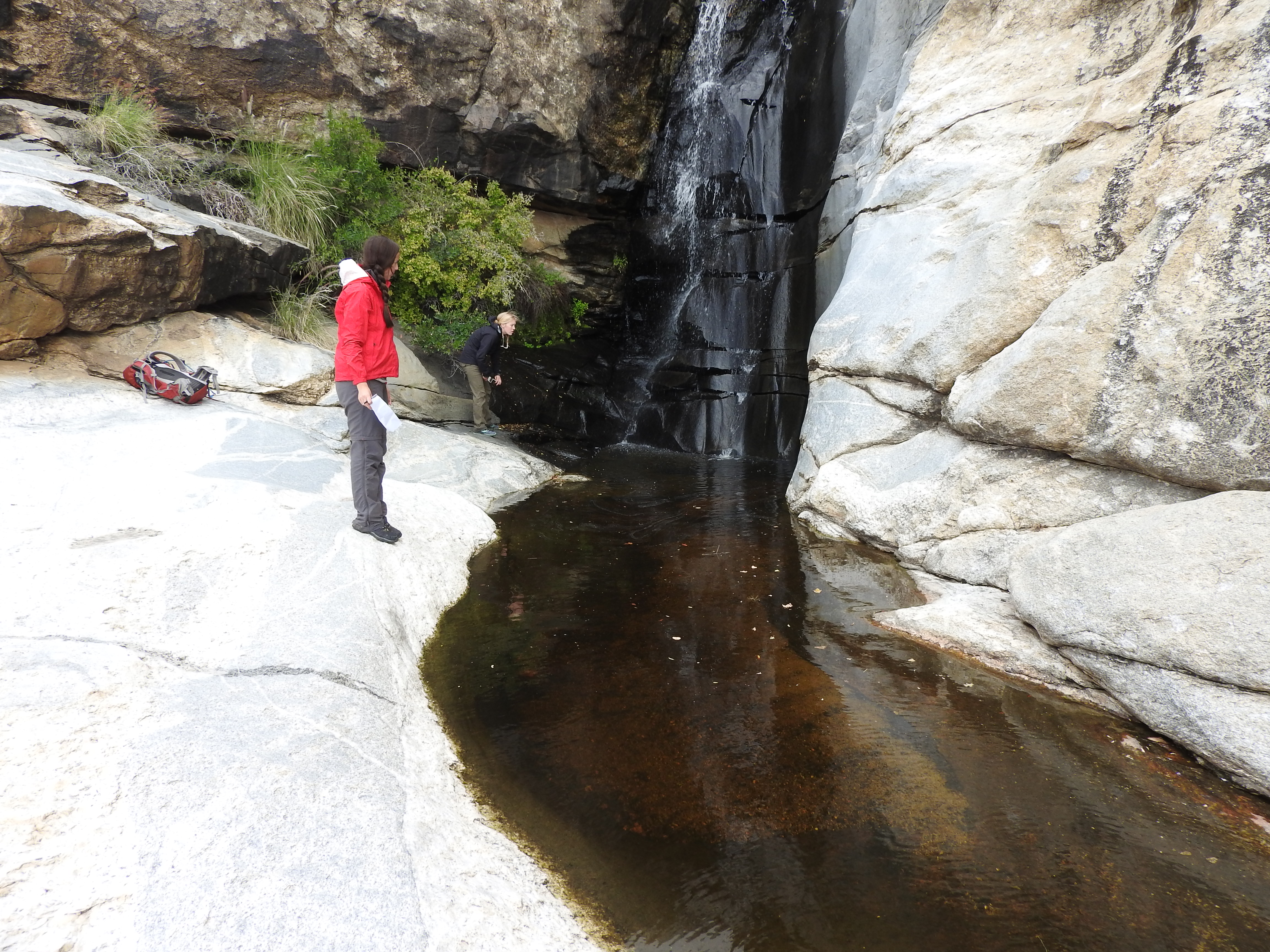 Studying Desert Water - Saguaro National Park (U.S. National Park Service)