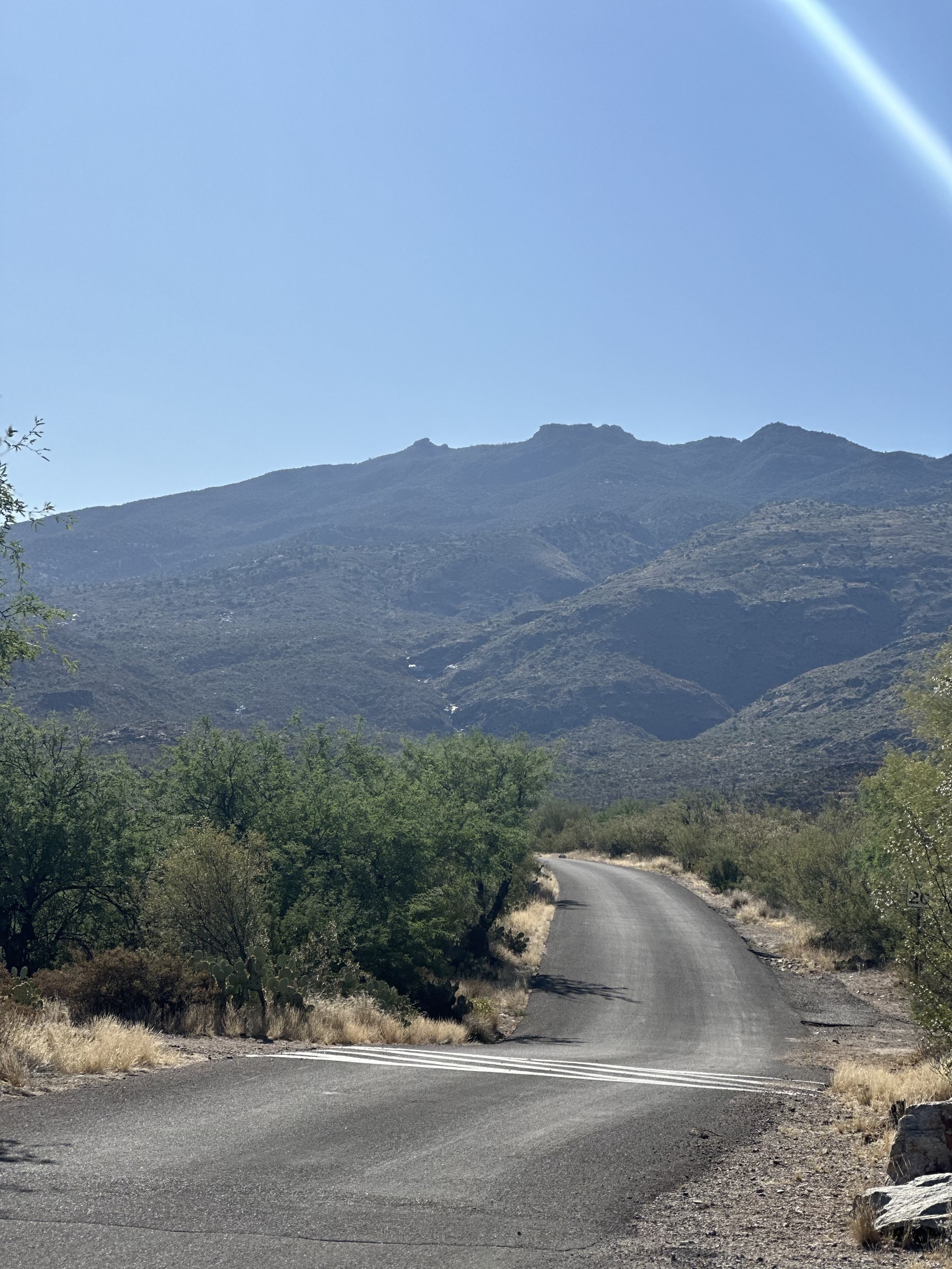Getting Around - Saguaro National Park (U.S. National Park Service)