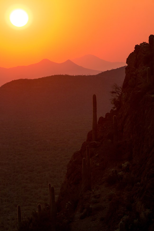 Outdoor Activities - Saguaro National Park (U.S. National Park Service)