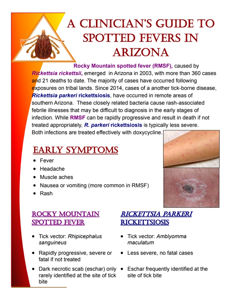 Rocky Mountain Spotted Fever Rash