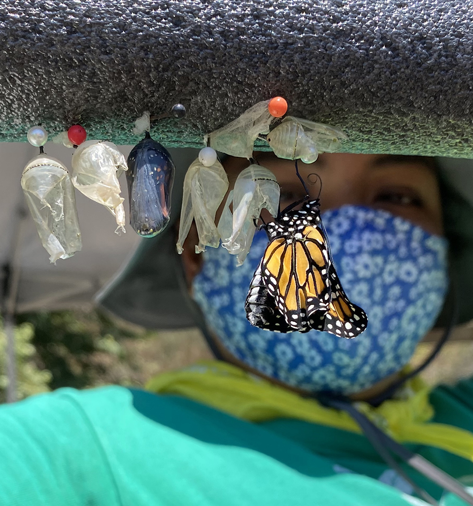 SAMO Youth - Santa Monica Mountains National Recreation Area (U.S ...