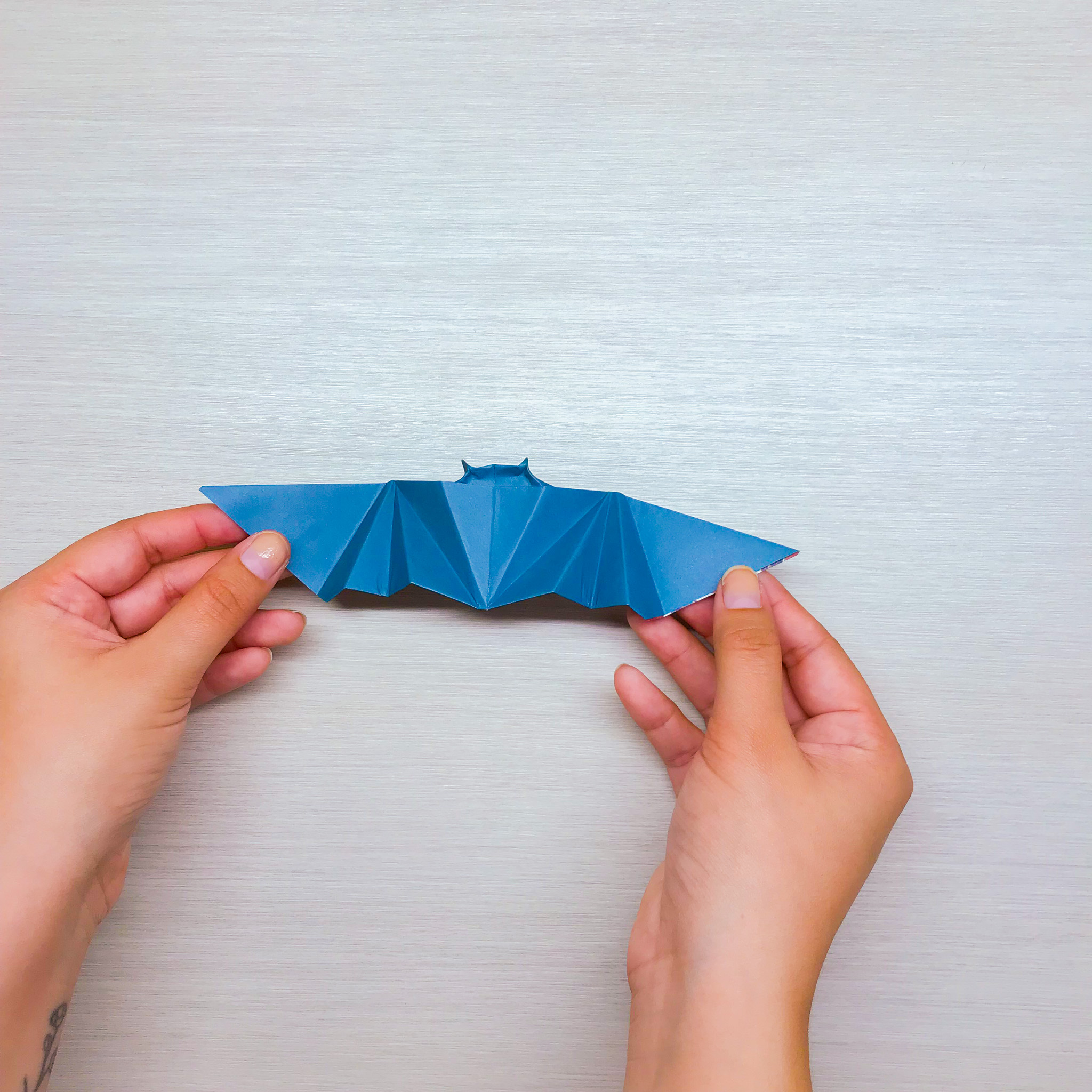 Bat Origami Activity - Santa Monica Mountains National Recreation Area ...