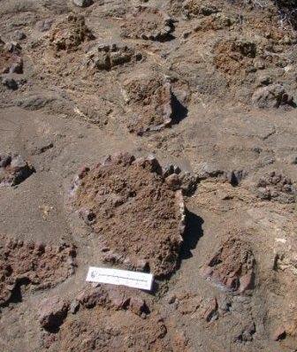 Volcanoes - Santa Monica Mountains National Recreation Area (U.S ...