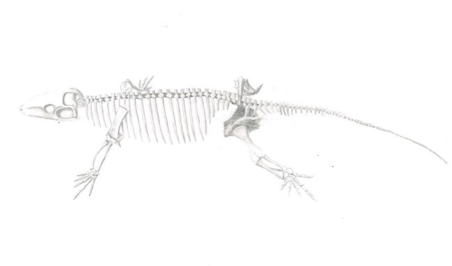 Artists-in-Residence 2024 - Salinas Pueblo Missions National Monument ...