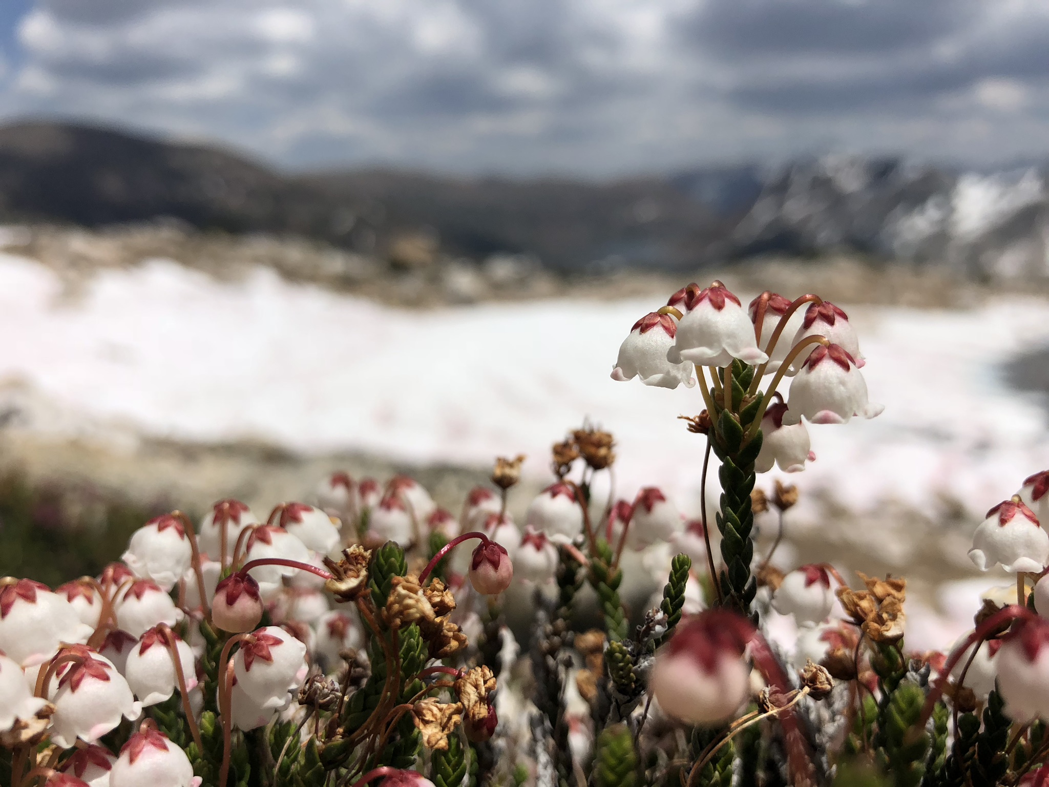 Glaciers - Sequoia & Kings Canyon National Parks (U.S. National Park ...