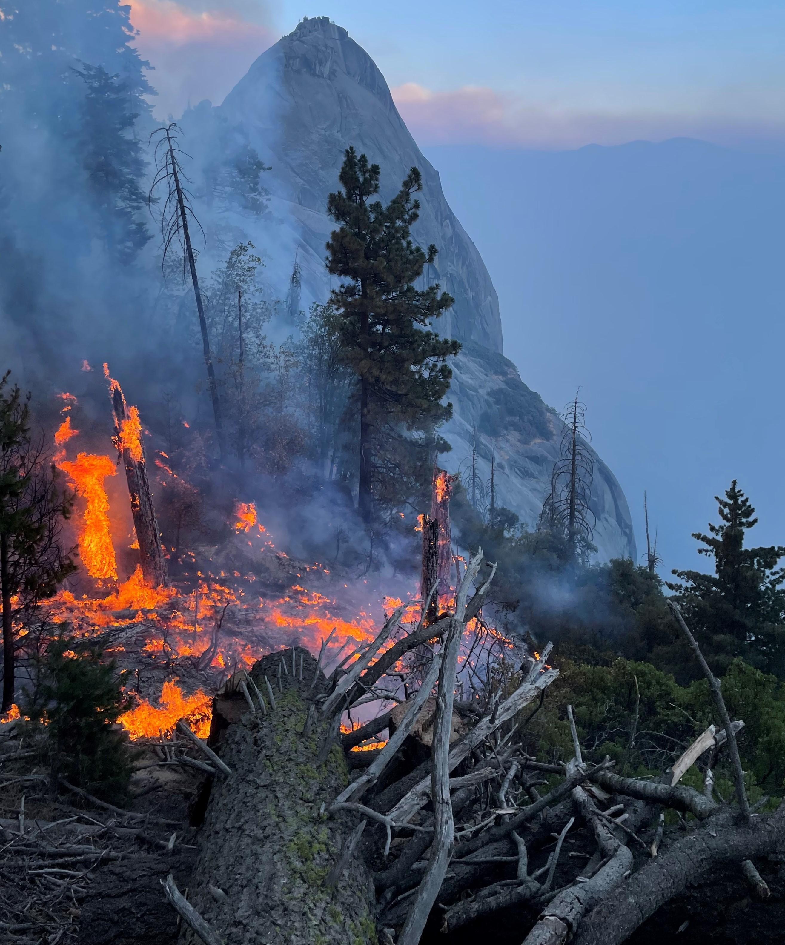 Two Sequoia Groves and a Wildfire - Sequoia & Kings Canyon National ...