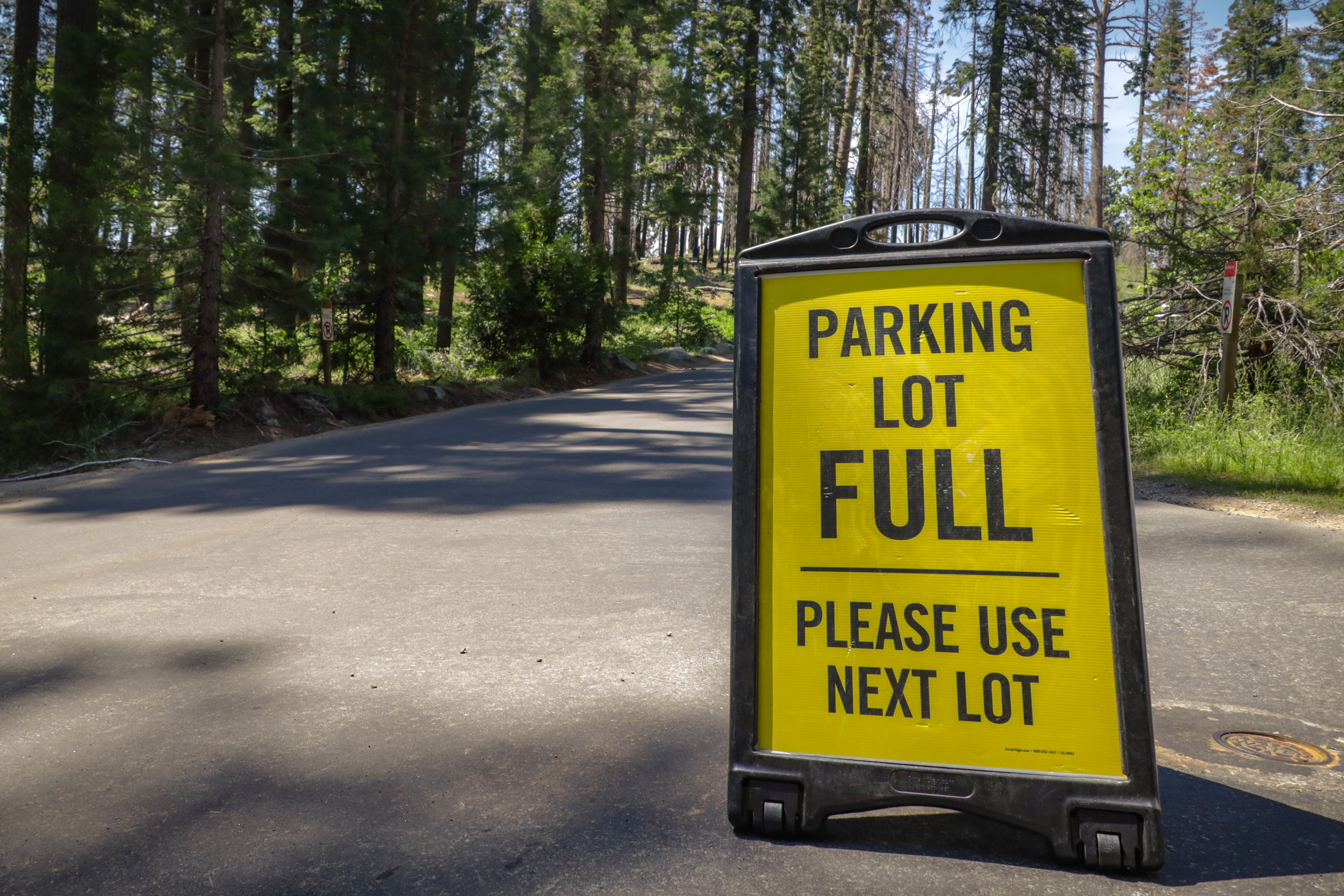 The Busy Season in the Parks - Sequoia & Kings Canyon National Parks (U ...
