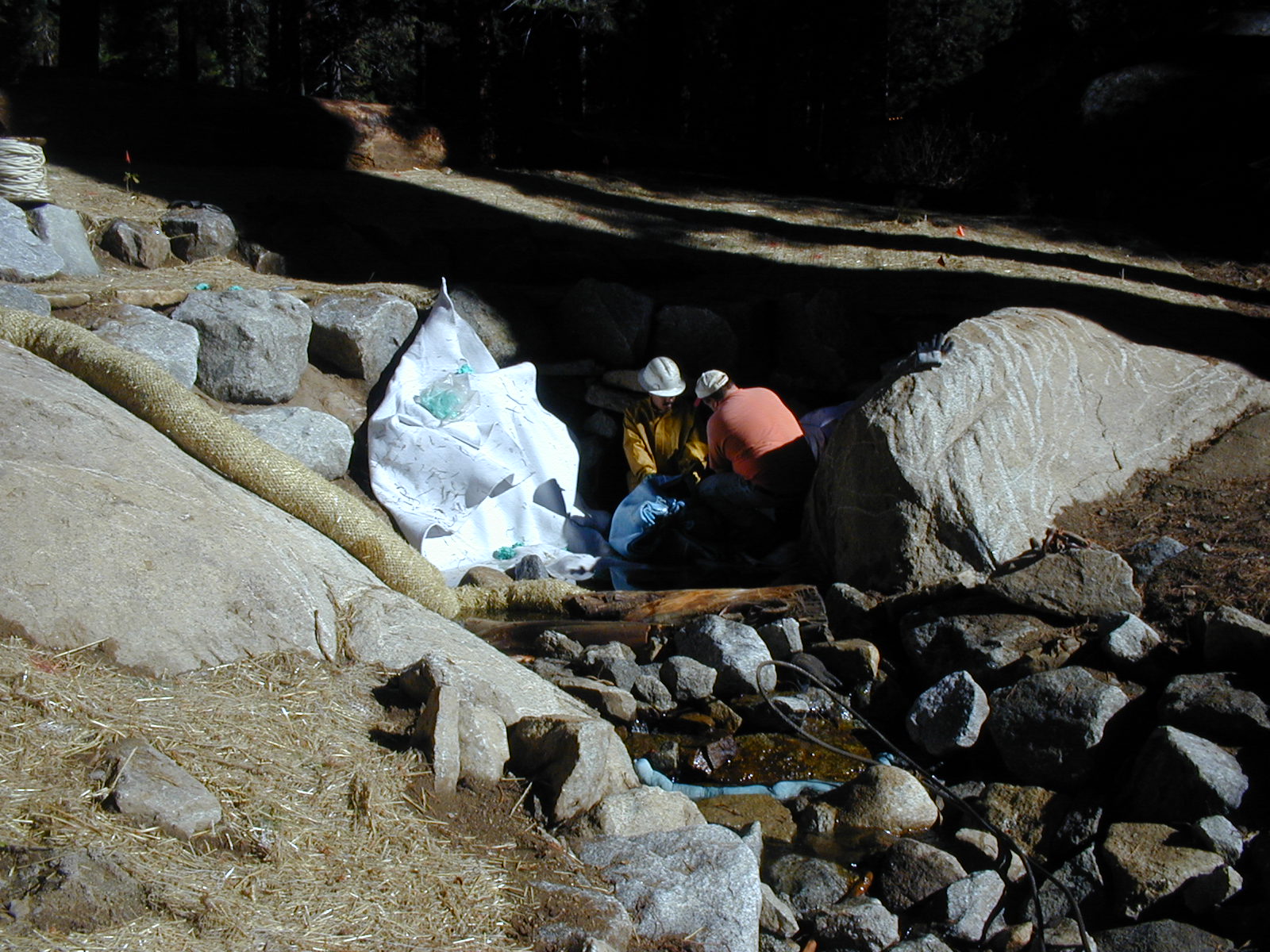 The Sequoia Ecosystem - Sequoia & Kings Canyon National Parks (U.S ...