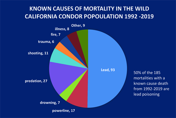 California Condors - Sequoia & Kings Canyon National Parks (U.S ...