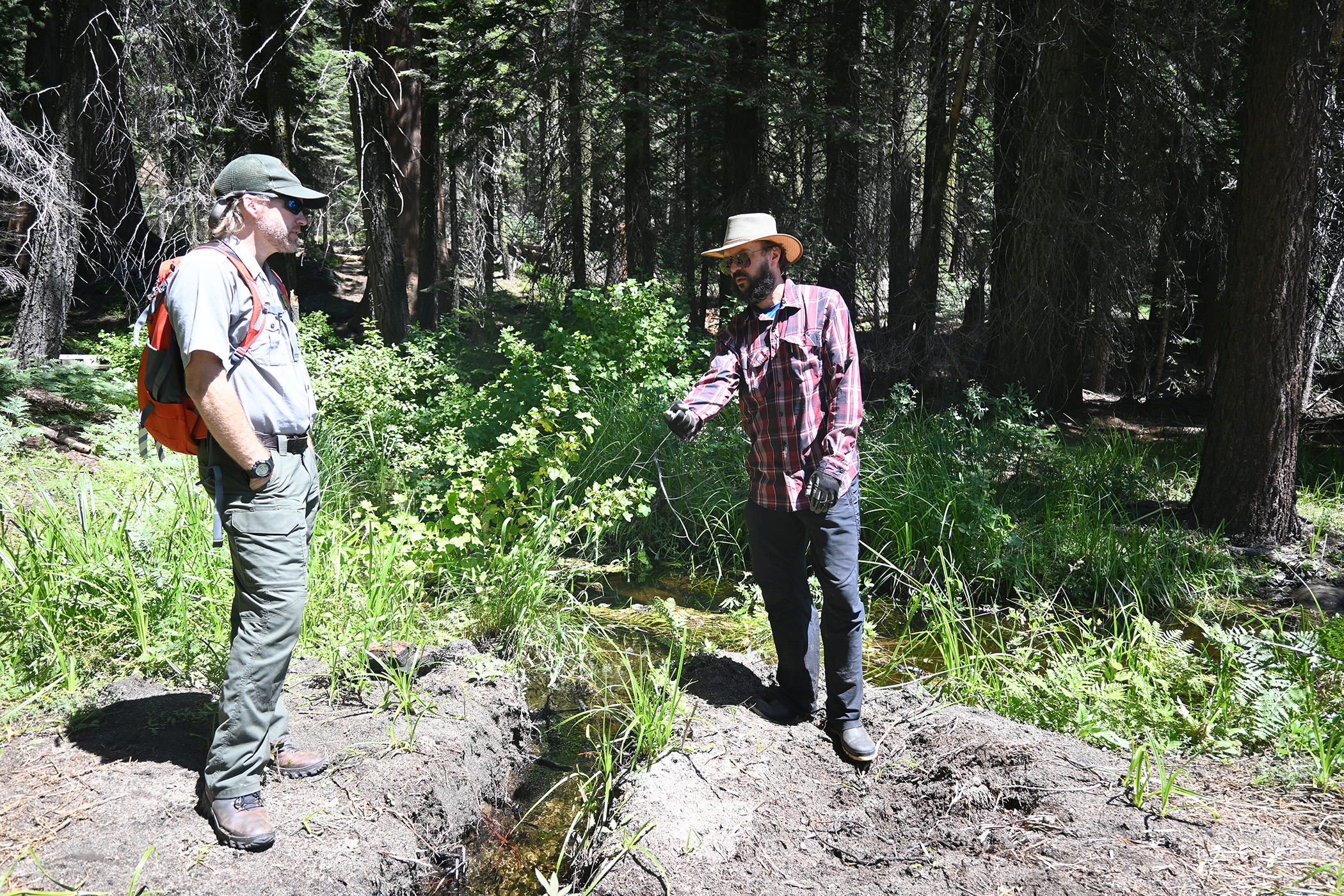 Log Meadow Restoration - Sequoia & Kings Canyon National Parks (U.S. National Park Service)