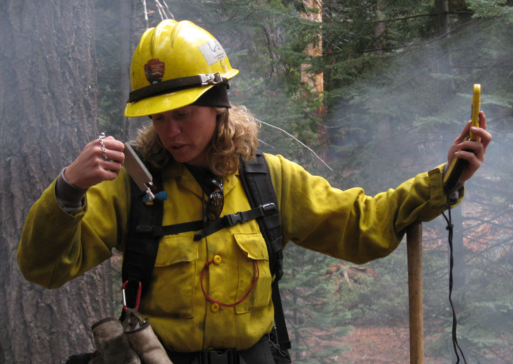 Fire Ecology & Research - Sequoia & Kings Canyon National Parks (U.S ...