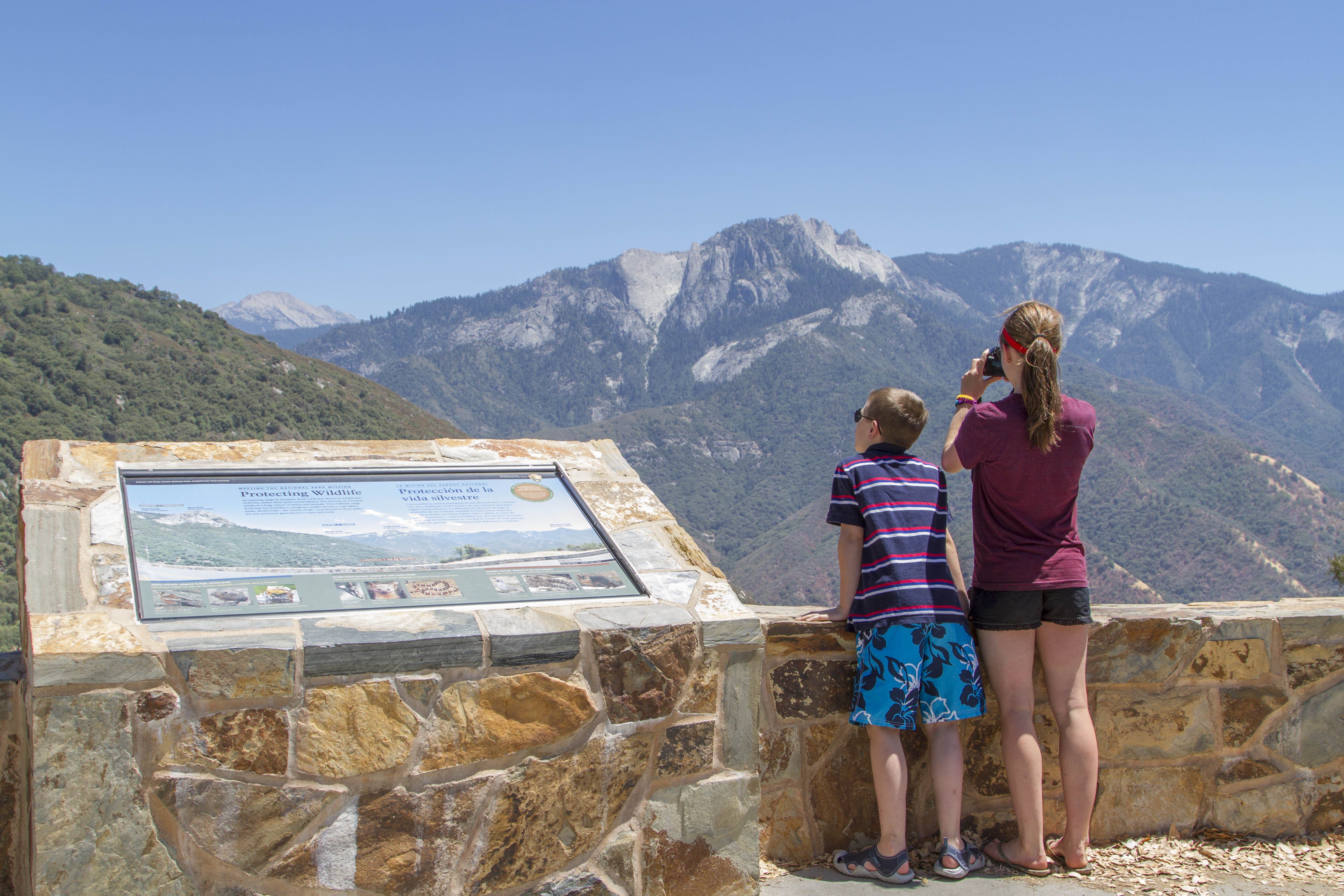 Summer Drives and Viewpoints - Sequoia & Kings Canyon National Parks (U ...