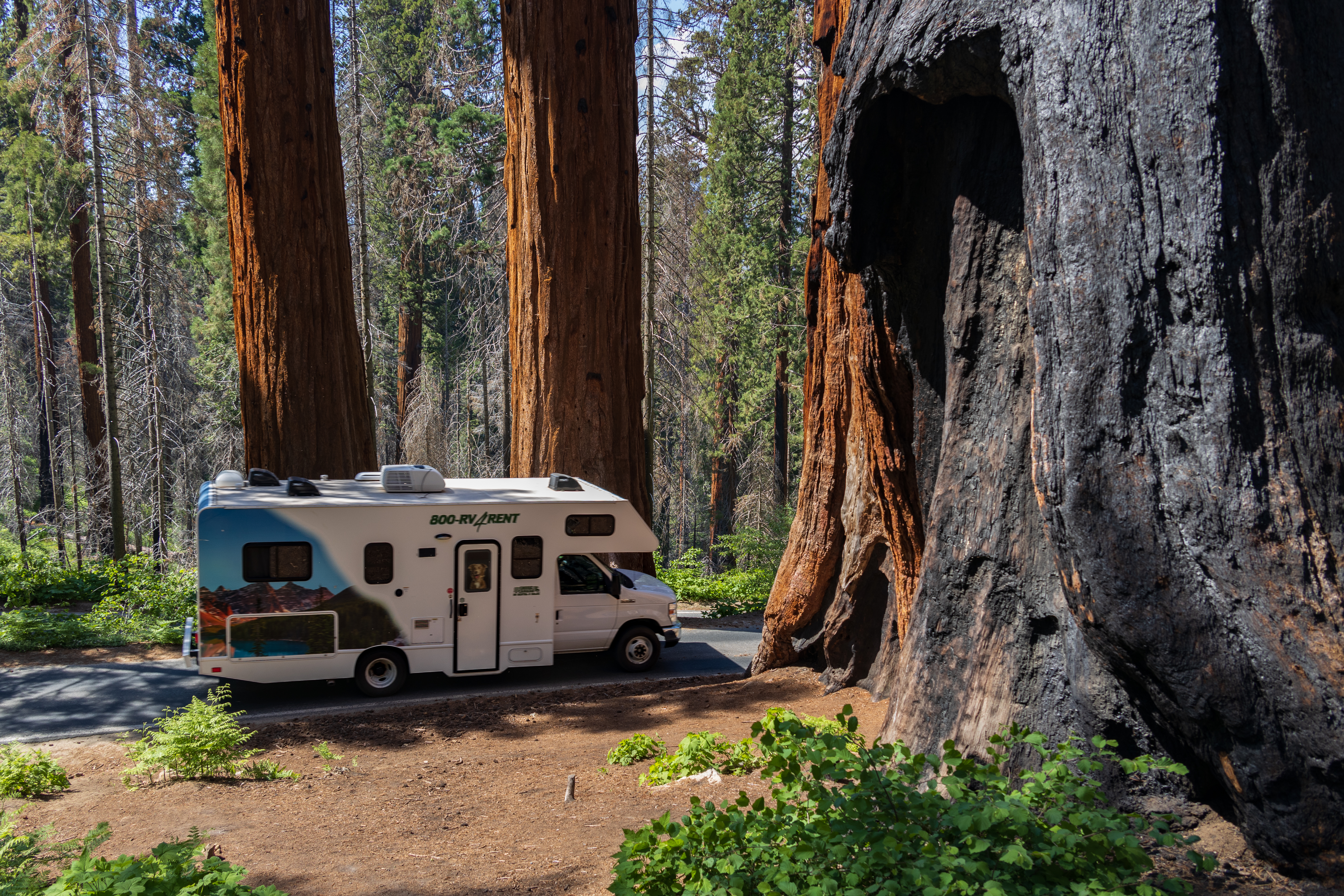 Visiting With An Oversized Vehicle - Sequoia & Kings Canyon National ...