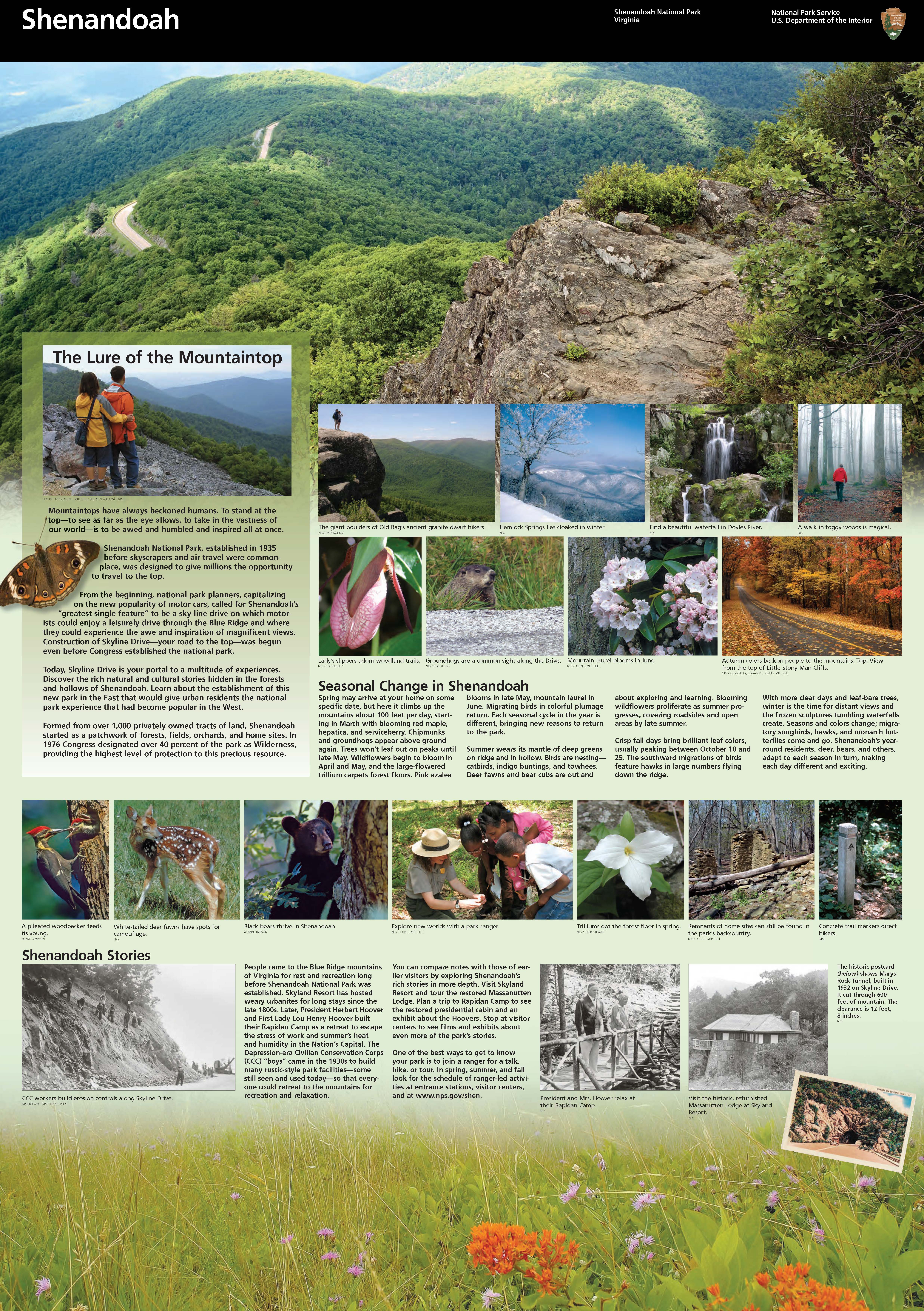 Park Brochure - Shenandoah National Park (U.S. National Park Service)