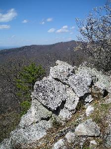 Chilhowee metasedimentary rocks - Shenandoah National Park (U.S ...
