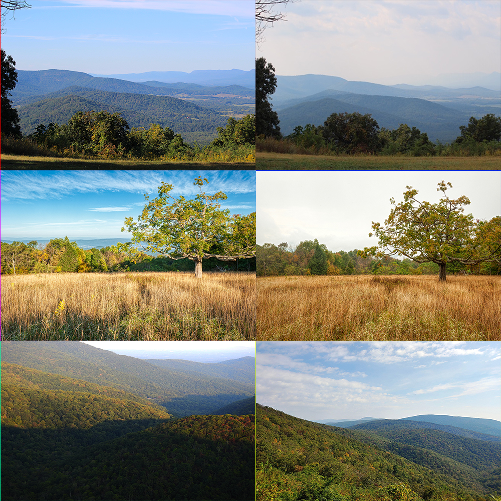 2019 Fall Color - Shenandoah National Park (U.S. National Park Service)