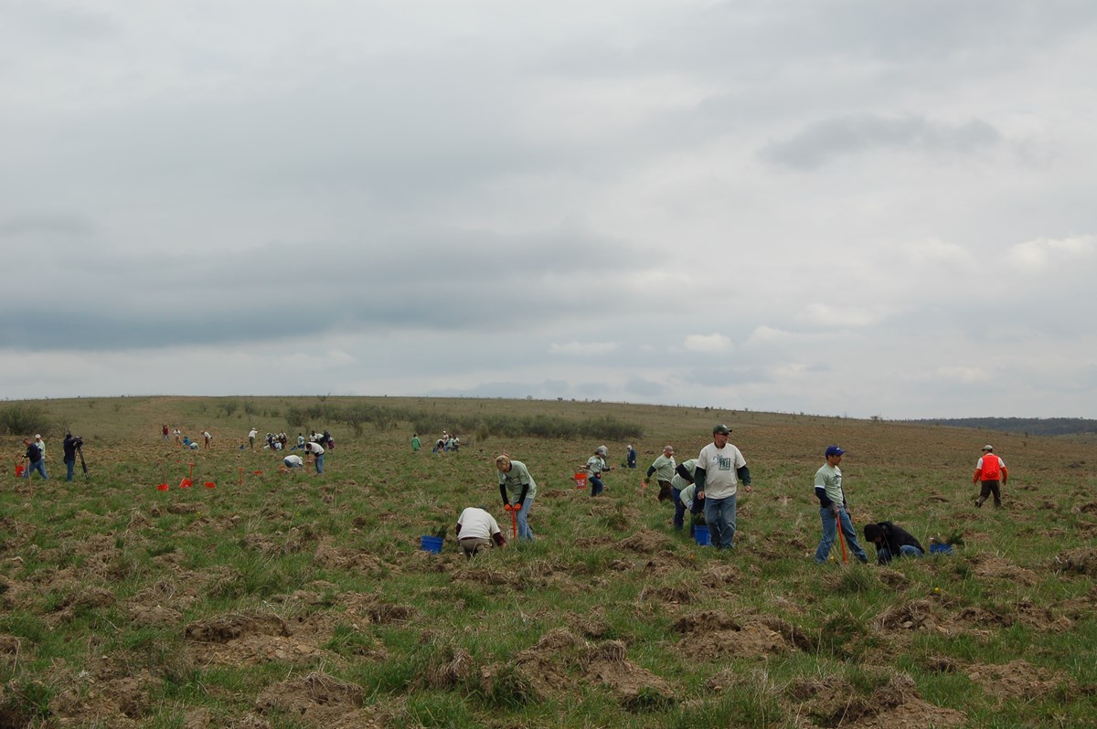 Reclamation and Restoration - Abandoned Mineral Lands (U.S. National ...