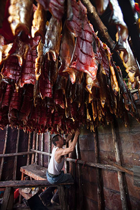 Subsistence in Alaska - Alaska Subsistence (U.S. National Park Service)