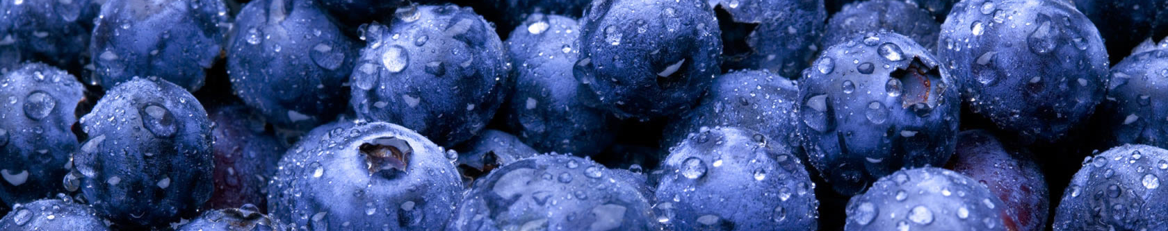 Stories from Alaska - Alaska Subsistence (U.S. National Park Service)