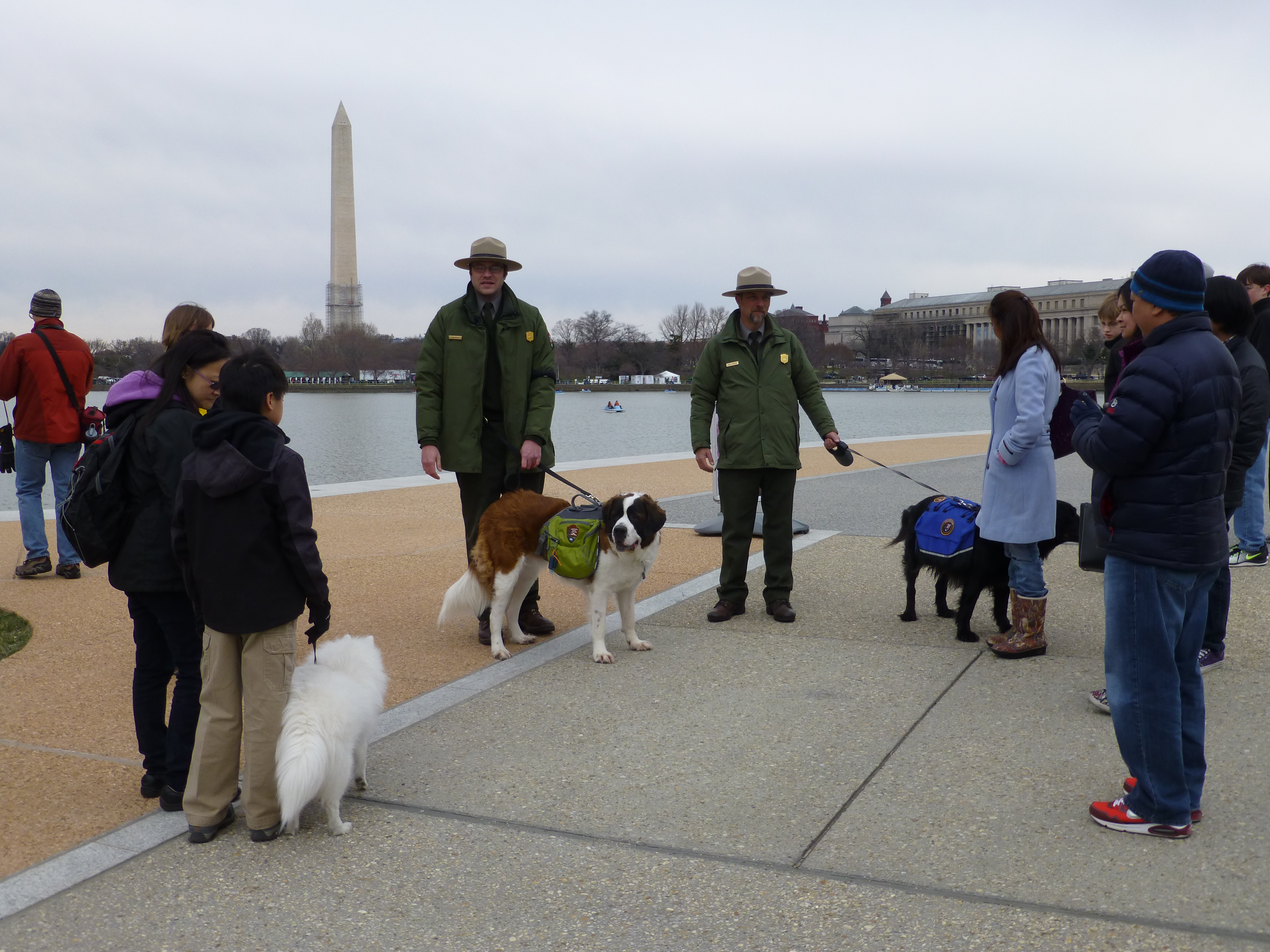 Ranger Programs - Cherry Blossom Festival (U.S. National Park Service)