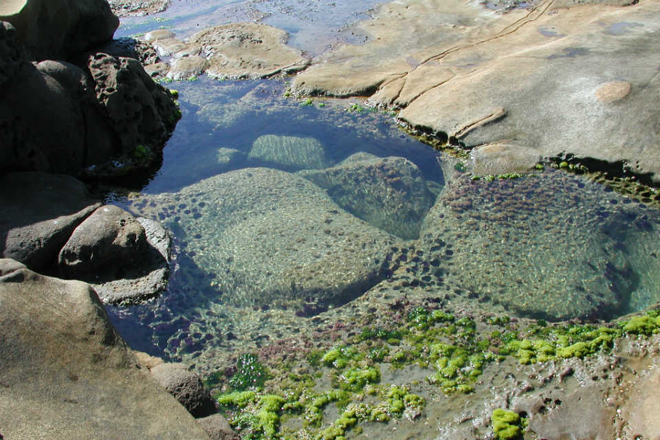 Tidepool - Island of the Blue Dolphins (U.S. National Park Service)