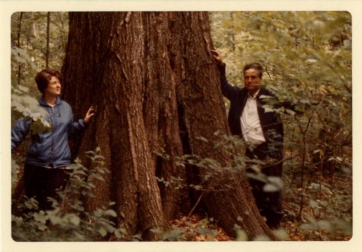 1973 NNL Designations - National Natural Landmarks (U.S. National Park ...