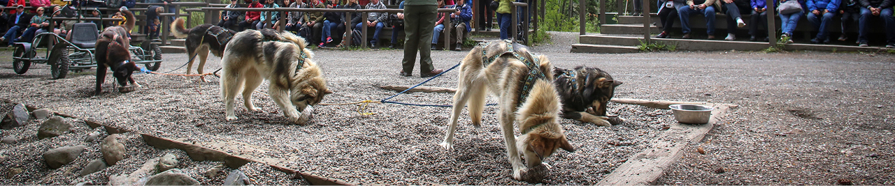 Submit to Park Science - Park Science (U.S. National Park Service)
