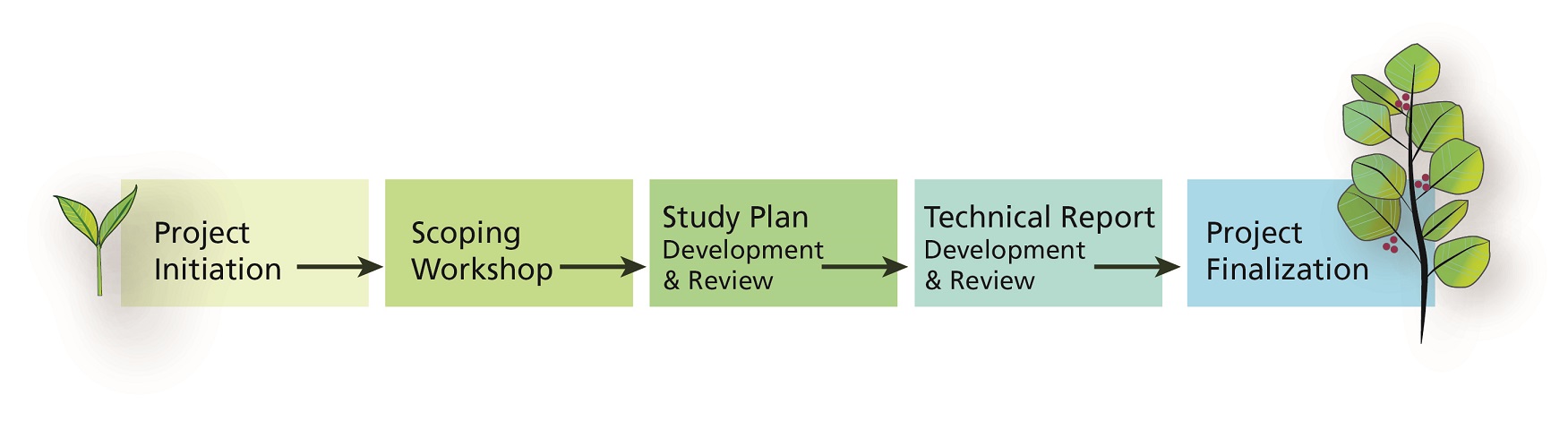Natural Resource Condition Assessments - Science (U.S. National Park ...