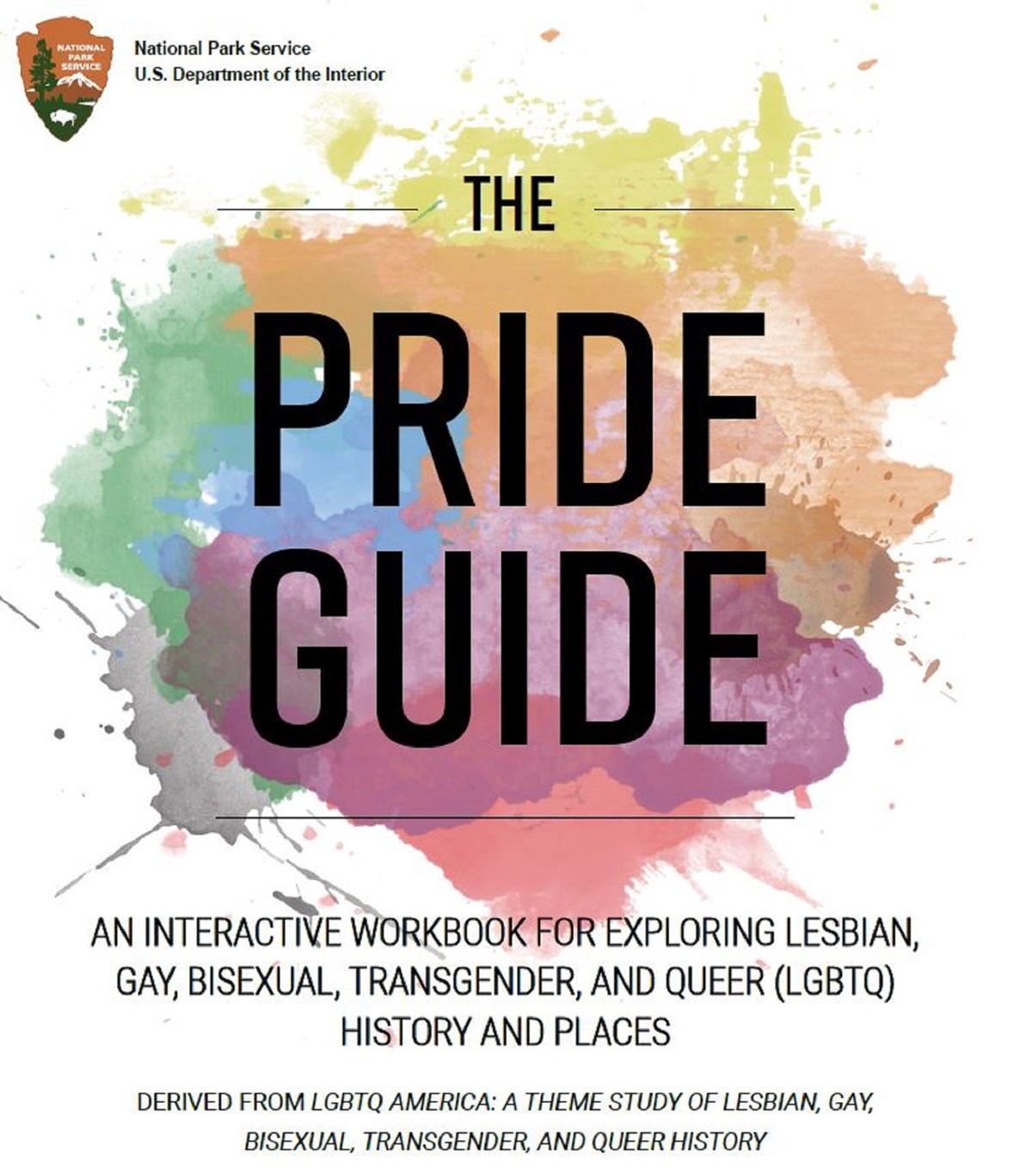 The Pride Guide An Interactive Workbook Telling All Americans