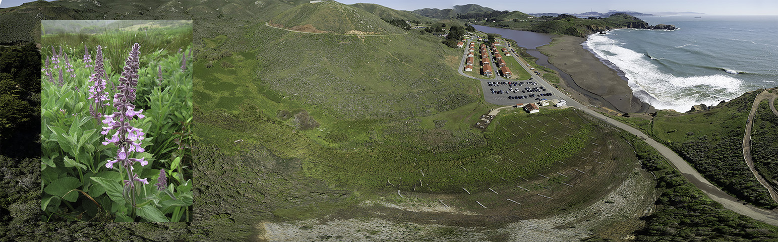 Restoring Wetlands - Wetlands (U.S. National Park Service)